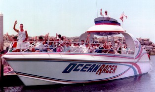 Redondo Beach Whale Watching